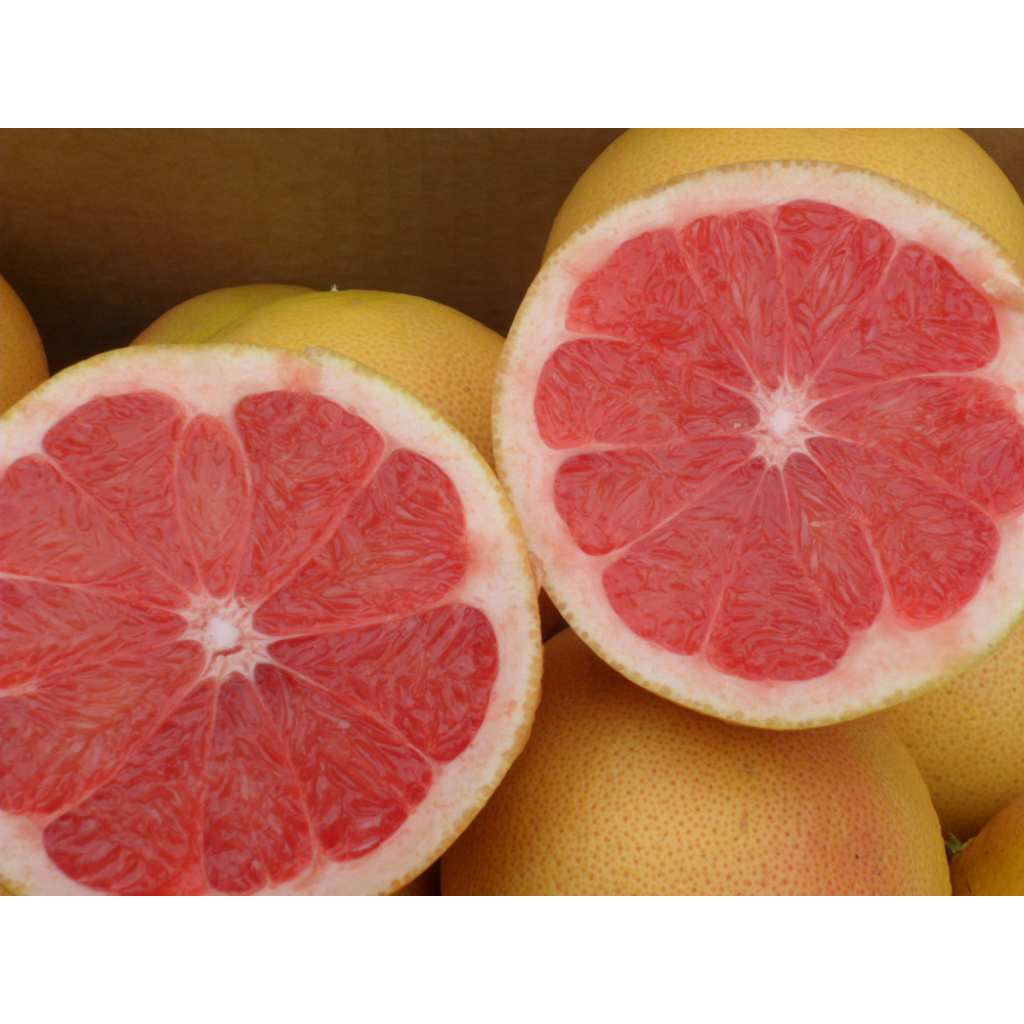 Pomelo Star Ruby - valencia-orange.fr